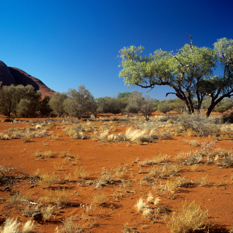 42 year M Renewals and Native Title - LandTrack Systems